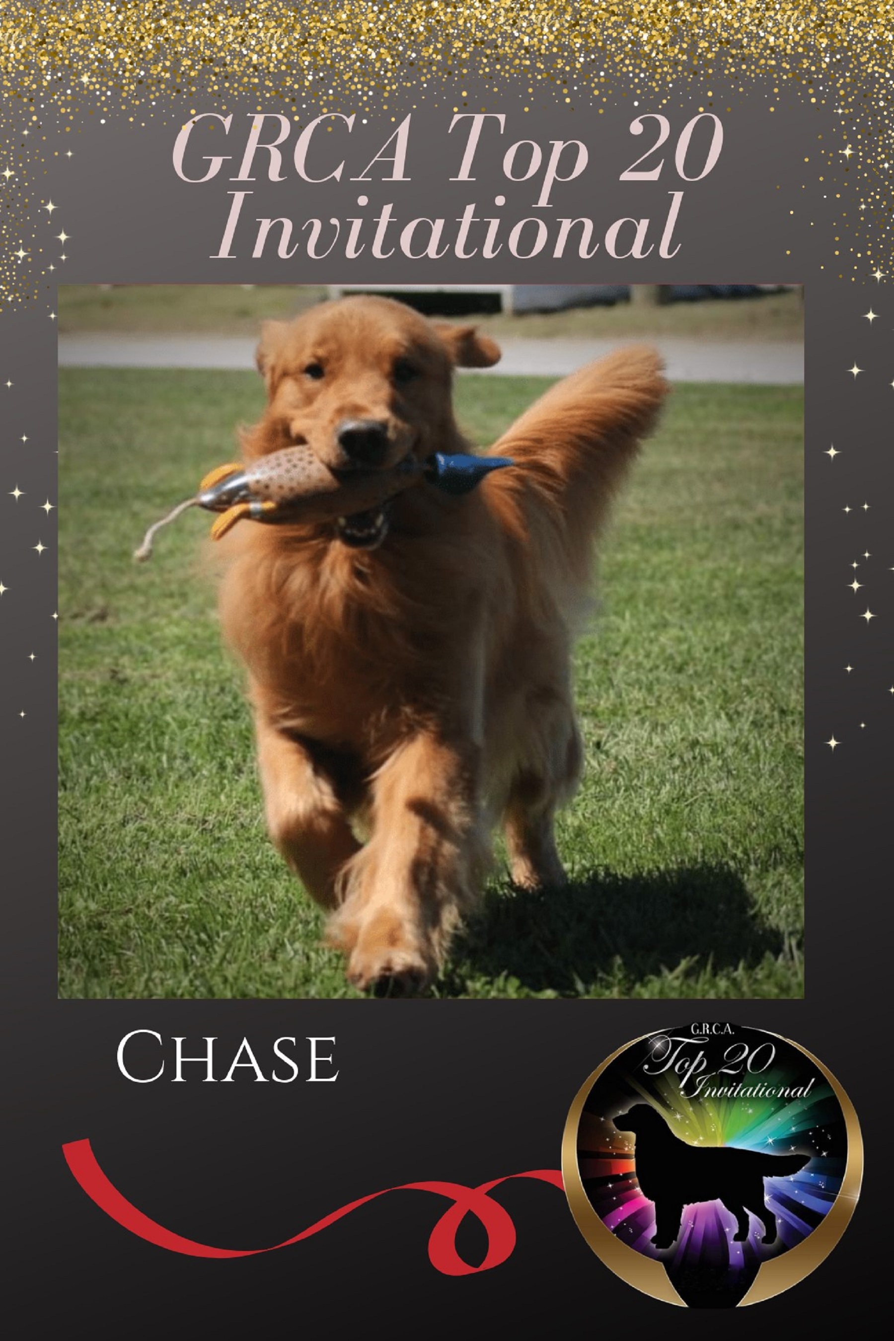 Sunbolyn Golden Retrievers, Pennsylvania – Golden Retrievers Puppies PA