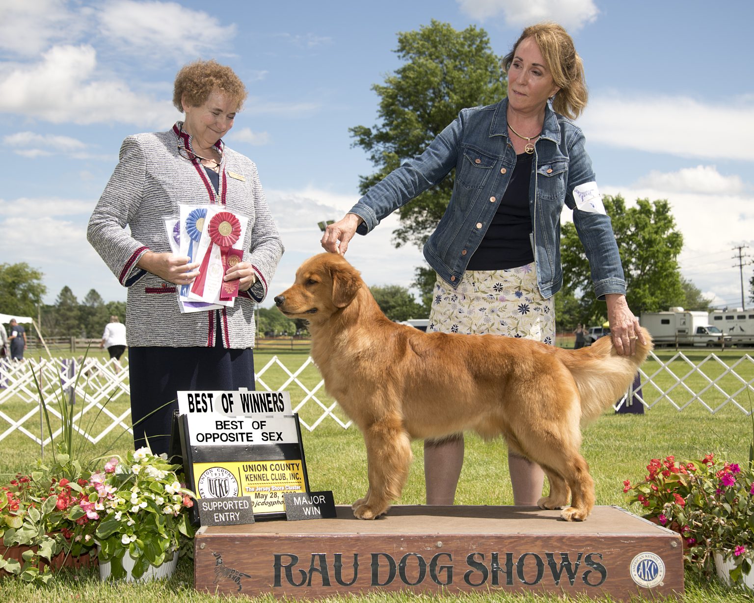 Image – Sunbolyn Golden Retrievers, Pennsylvania